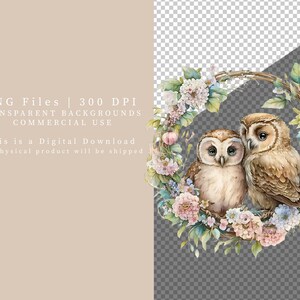 Watercolor Owls Clipart, Owl Clipart, Watercolor, Watercolor Clipart ...