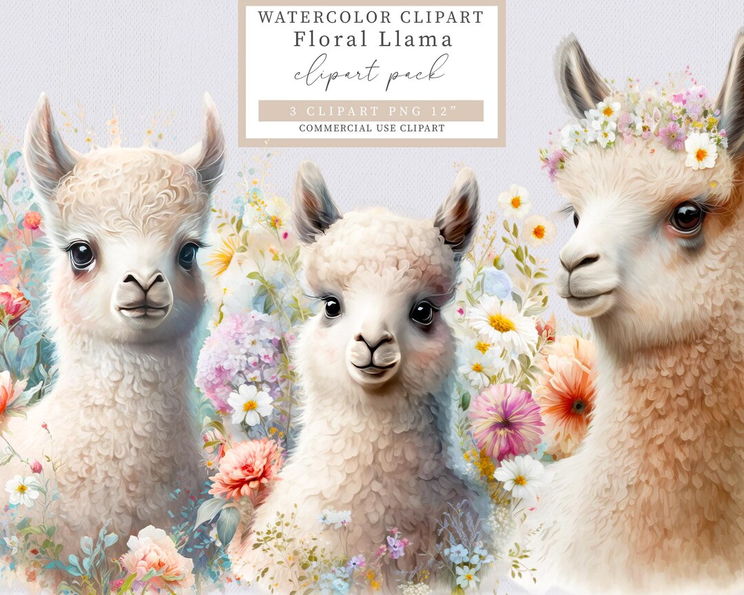 Llama Clipart Watercolor Clipart Animals Clipart Floral Clipart Floral ...