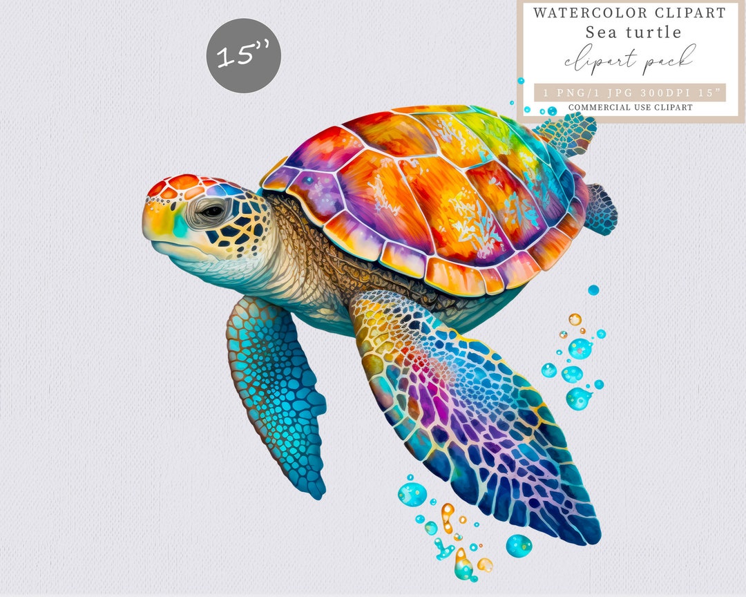 Buy Sea Turtle Clip Art, Turtle Clipart, Cute Sea Turtle Clipart, Ocean ...