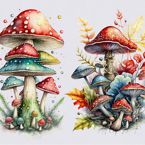 Mushrooms Clipart, Fall Clipart, Autumn Clipart, Forest Clipart ...