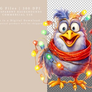 Funny Chicken Clipart, Christmas Clipart, Chicken Tangled up Clipart ...