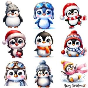 Penguin Clipart Penguin Bundle Clipart Animals Clipart Christmas ...