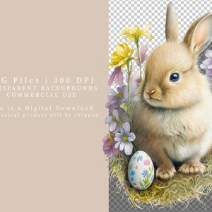 Easter Bunny Clipart, Easter Clipart, Bunny Clipart, Spring Clipart ...