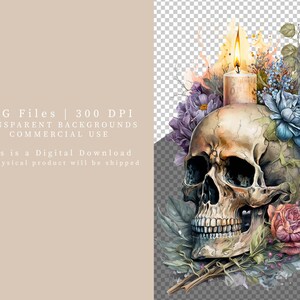 Skull and Candle Clipart, Halloween Clipart, Floral Skull Clipart ...