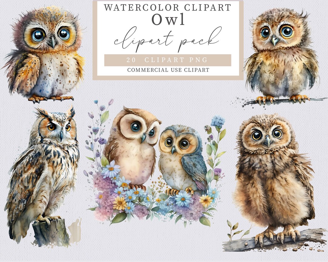 Watercolor Owls Clipart, Owl Clipart, Watercolor, Watercolor Clipart ...