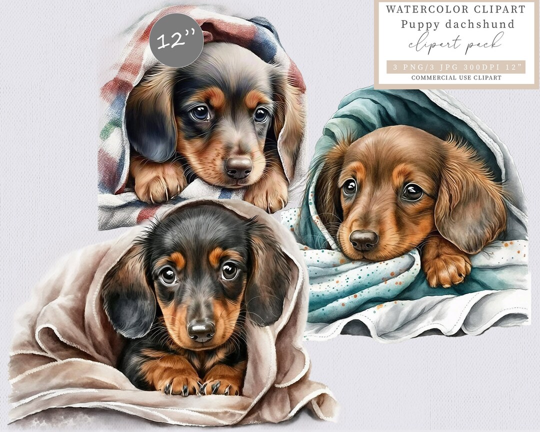 Puppy Dachshund Clip Art, Dachshund Clip Art, Puppy Clip Art, Dog Clip ...