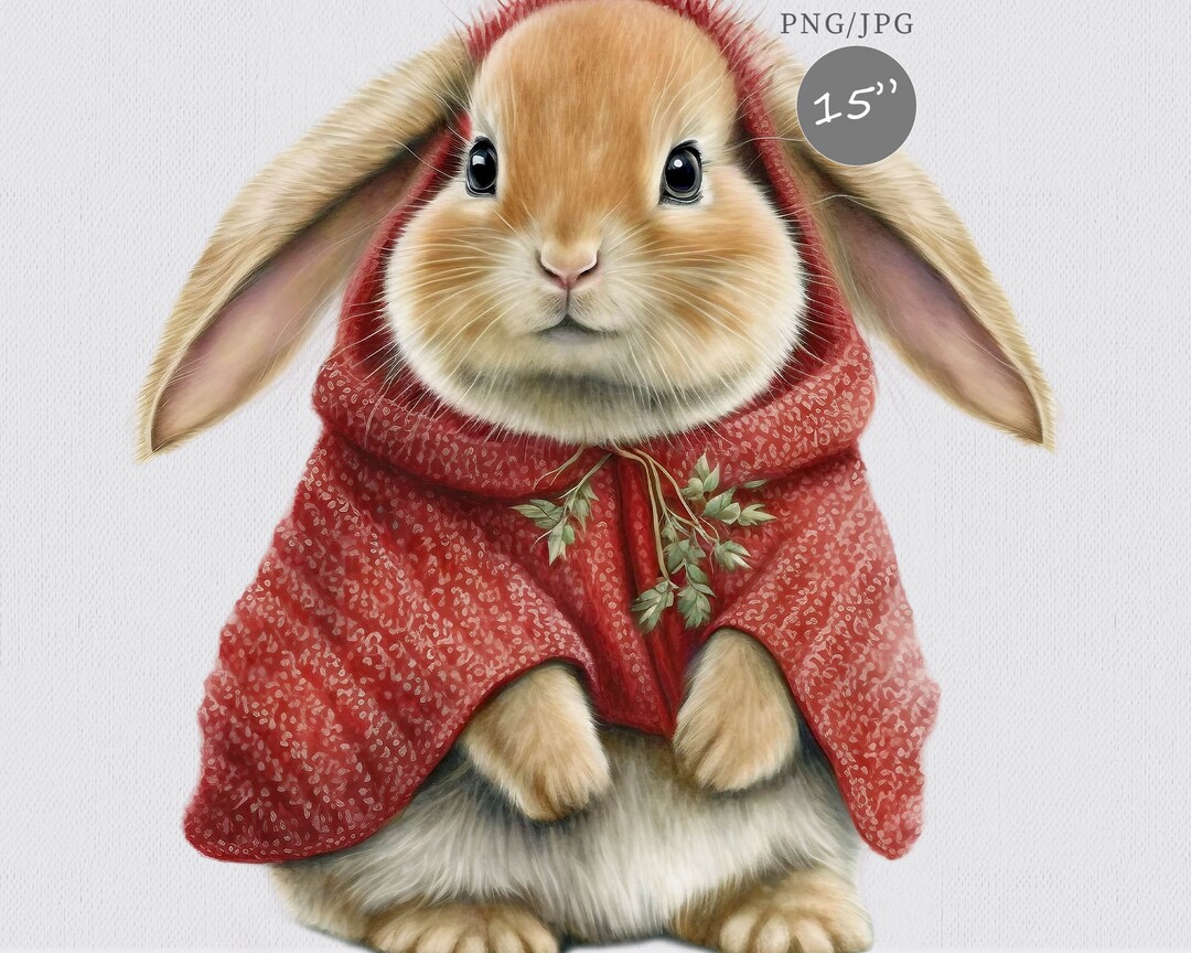 Christmas Clipart, Christmas Bunny Clipart, Baby Bunny Clipart, Animals ...