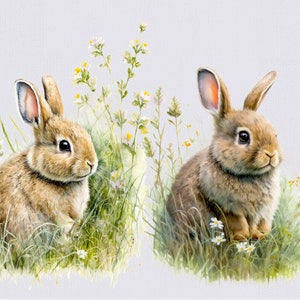 Bunny Clipart, Spring Clipart, Easter Clipart, Animals Clipart, Forest ...