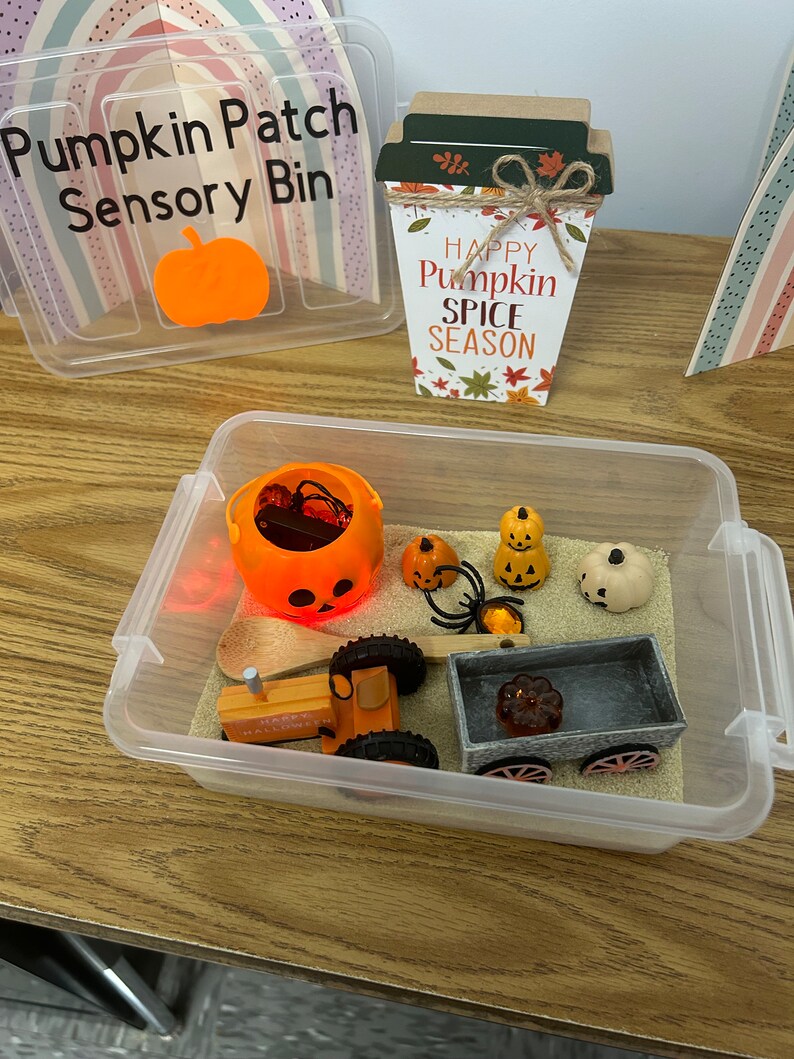 Themed Sensory Bin - Etsy