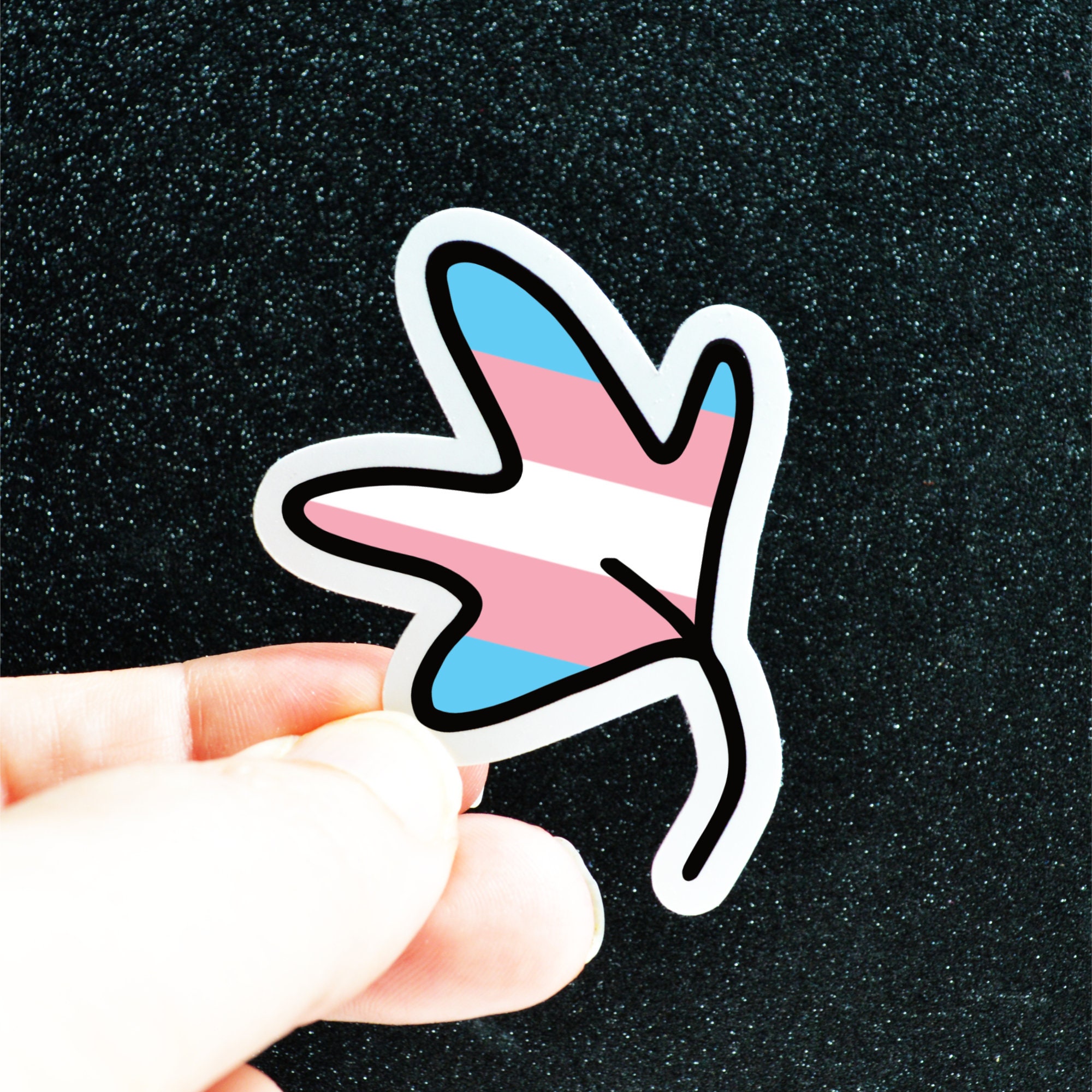 Transgender Pride Flag Sticker Set Pride Flag Matte Vinyl Etsy