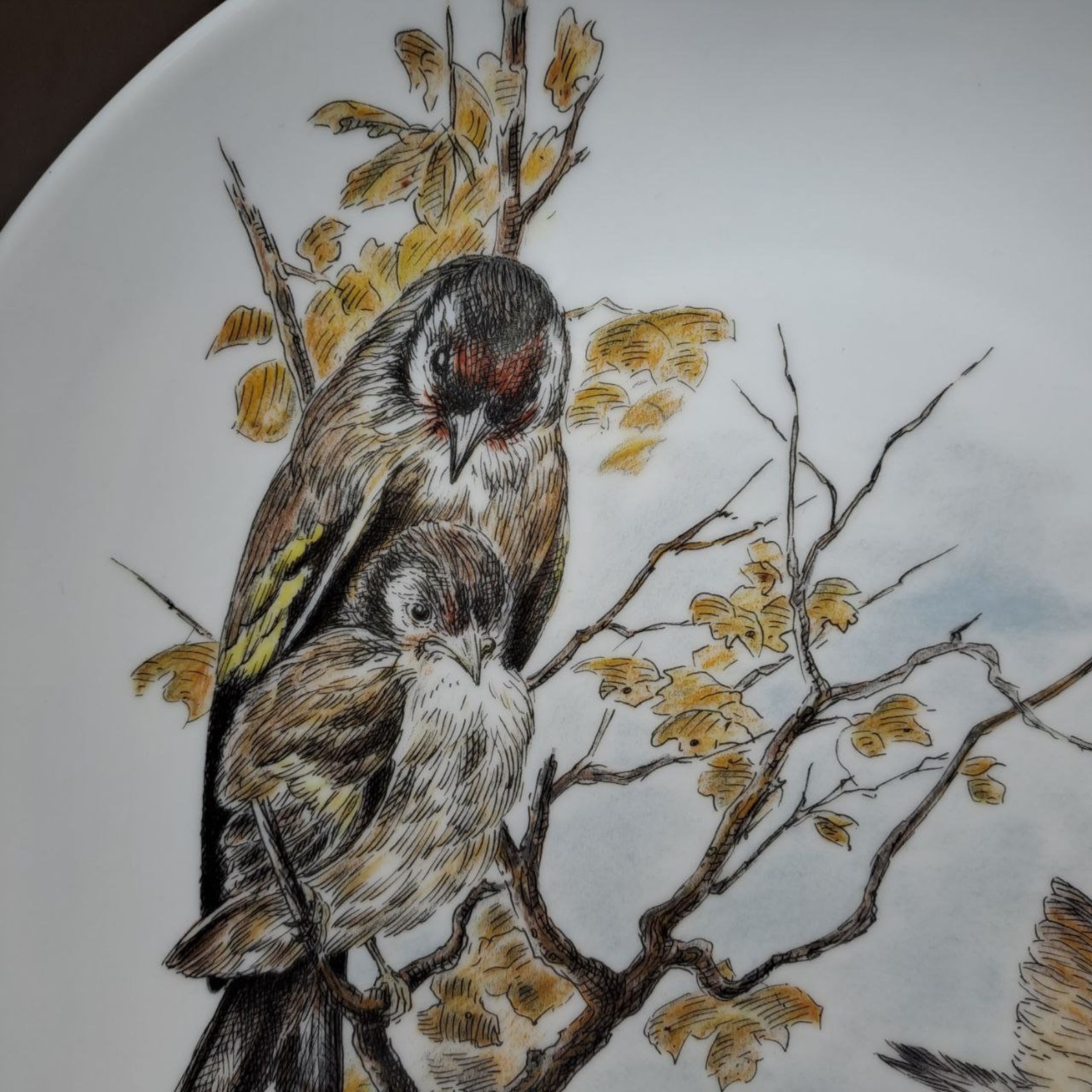Vintage AK Kaiser Garden Birds Wall Hanging Plate - Etsy