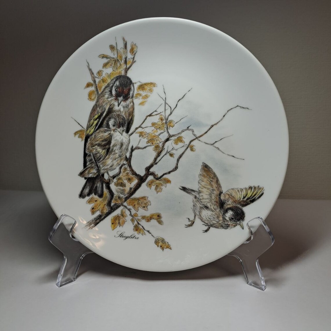 Vintage AK Kaiser Garden Birds Wall Hanging Plate - Etsy