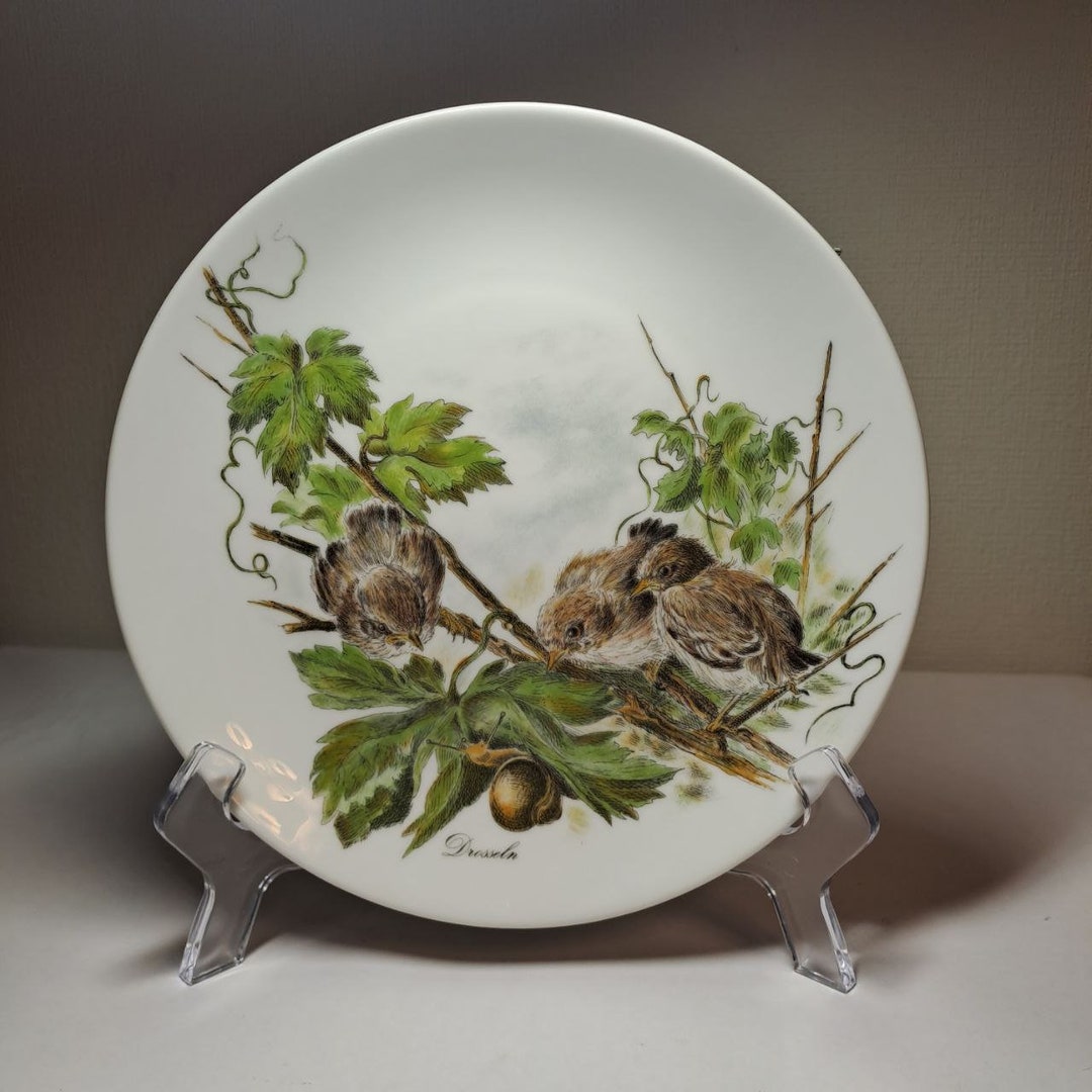 Vintage AK Kaiser Garden Birds Wall Hanging Plate - Drosseln/thrushes ...