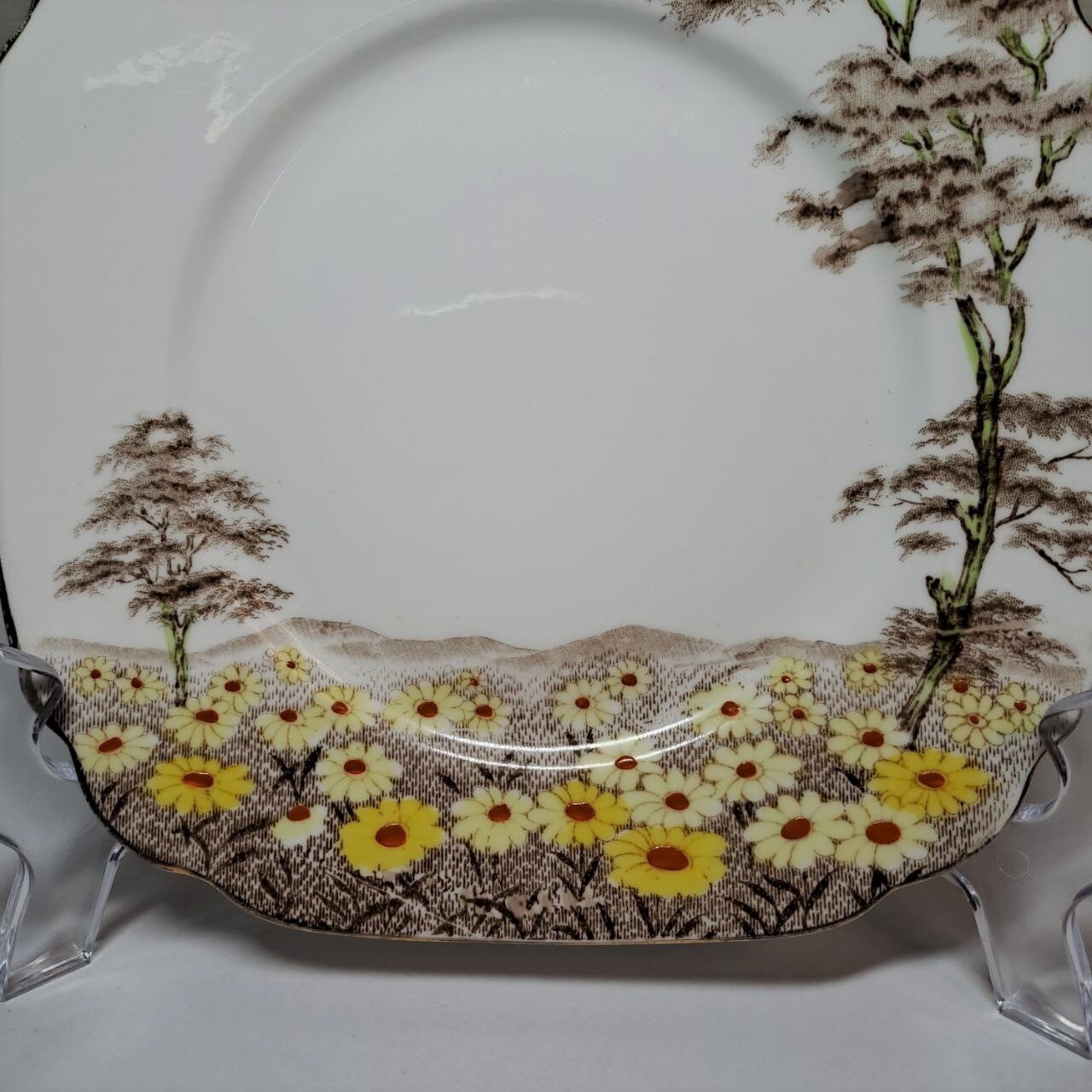 Antique Standard China Plate Daisyfield Pattern, Made in England in ...