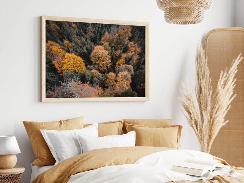 Nature Mural Poster for Living Room Premium Poster Autumn Forest ...
