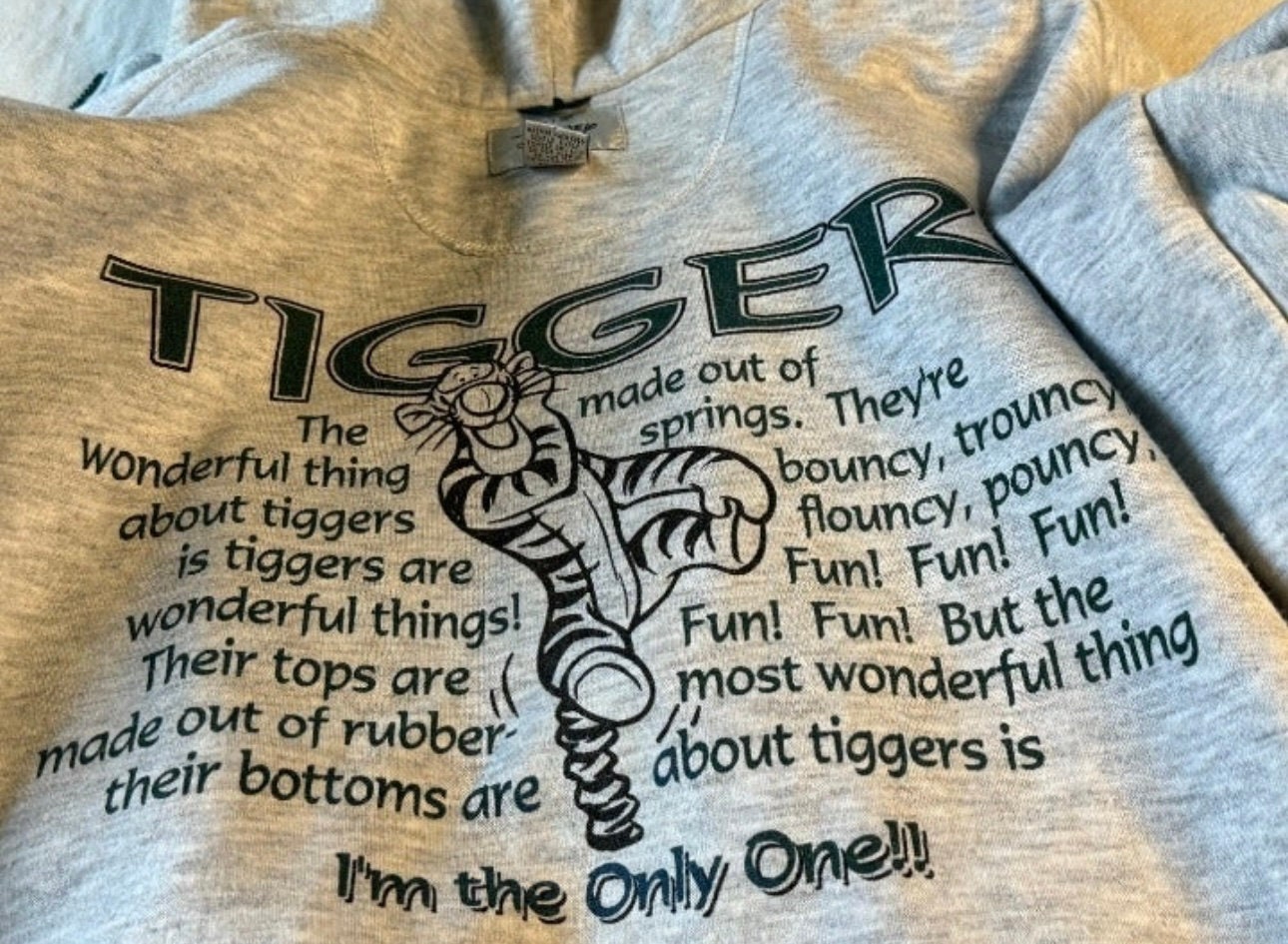 Vintage the Disney Store Tigger Green Full Zip Embroidered Jacket Size ...