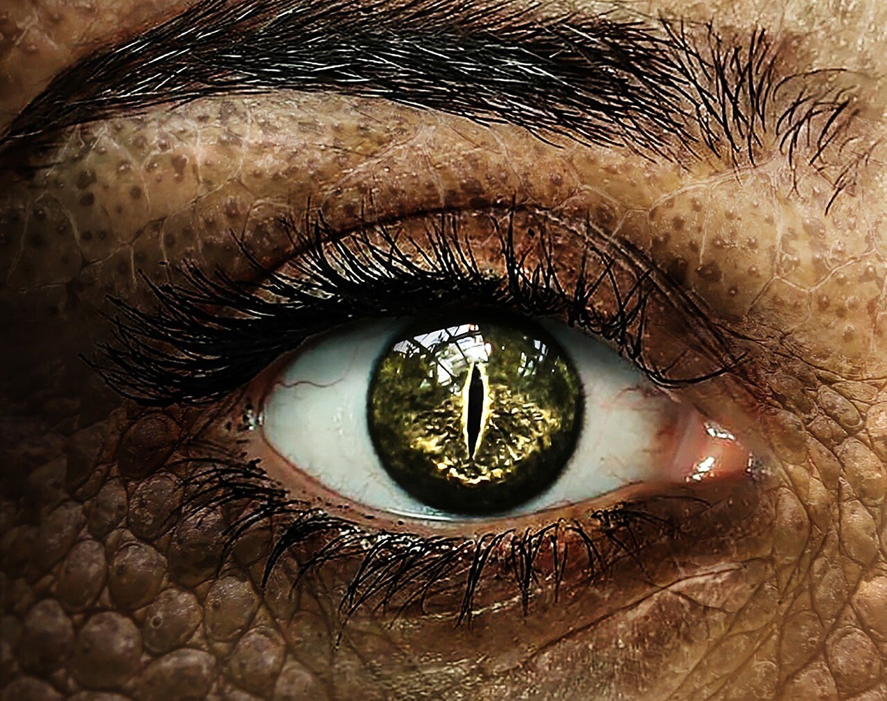 Dragon Guide Psychic Reading . Spirit Guide . Experienced Reader ...