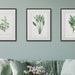 Botanical Poster Set of 3 Flowers, Botanical Prints Wildflower, Floral ...