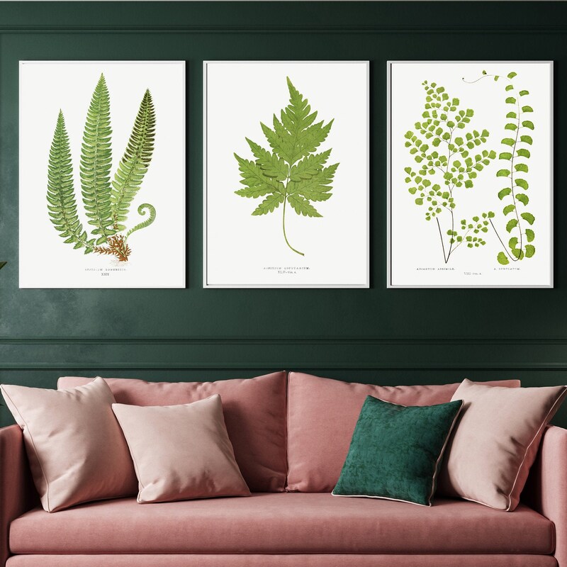 Vintage Fern - Etsy