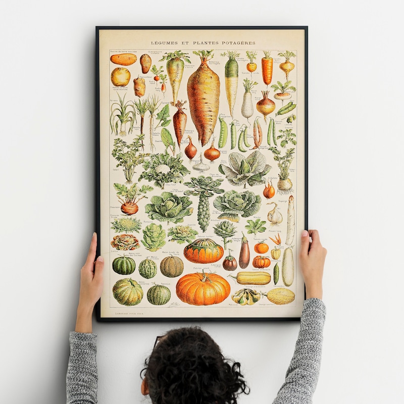 Vegetable Poster - Etsy