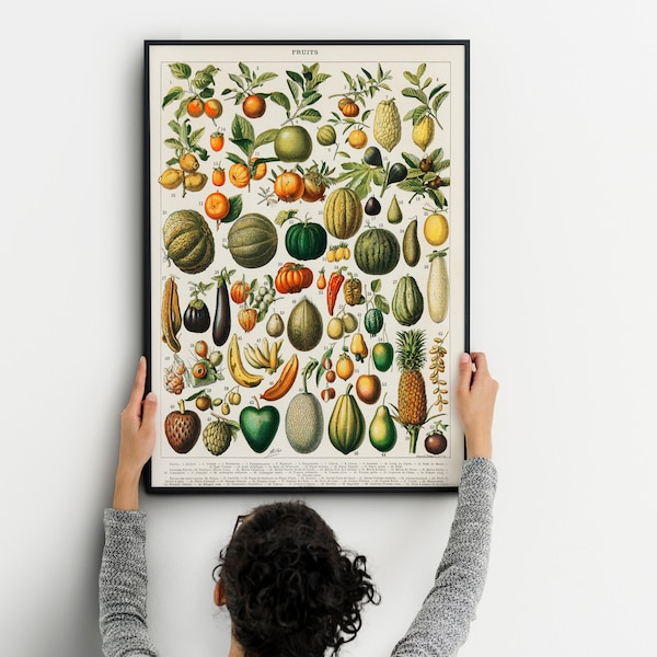 Vegetable Poster - Etsy