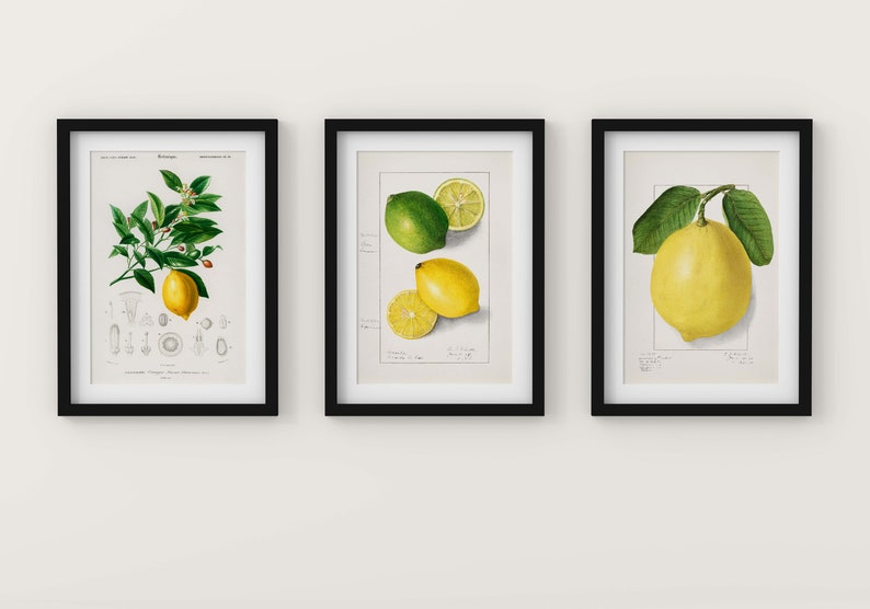 Lemon Poster Lemon Wall Art Lemon Art Kitchen Poster | Etsy