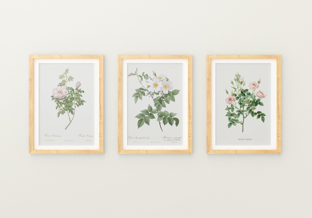 Botanical Poster Set of 3 Flowers, Botanical Prints Wildflower, Floral ...