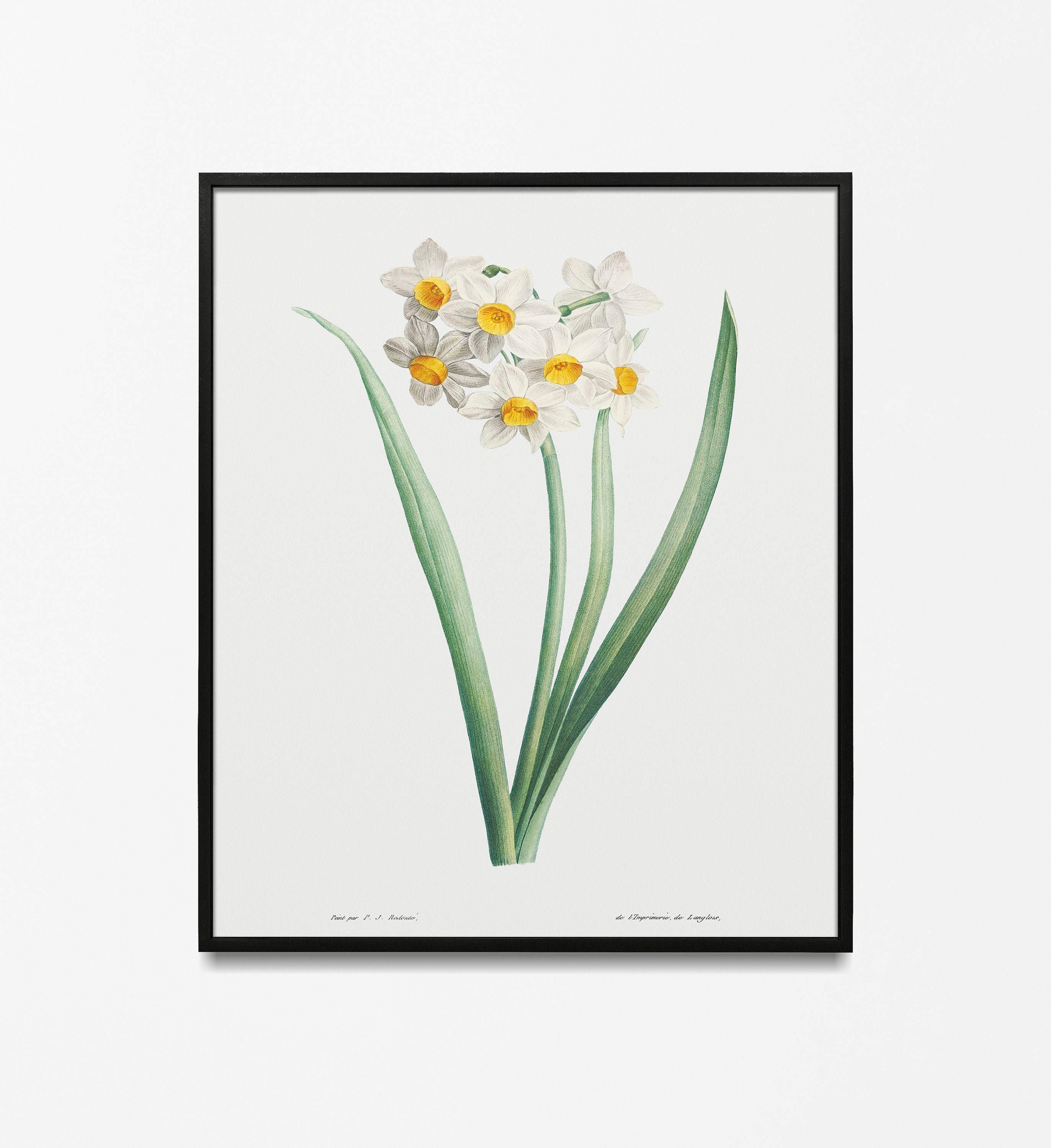 Flowery Decor Spring Flower Print Botanical Art Print - Etsy