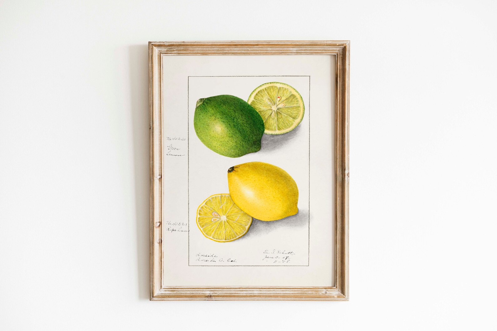Lemon Poster Lemon Wall Art Lemon Art Kitchen Poster | Etsy