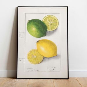 Lemon Poster, Lemon Wall Art, Lemon Art, Kitchen Poster, Fruits Poster ...