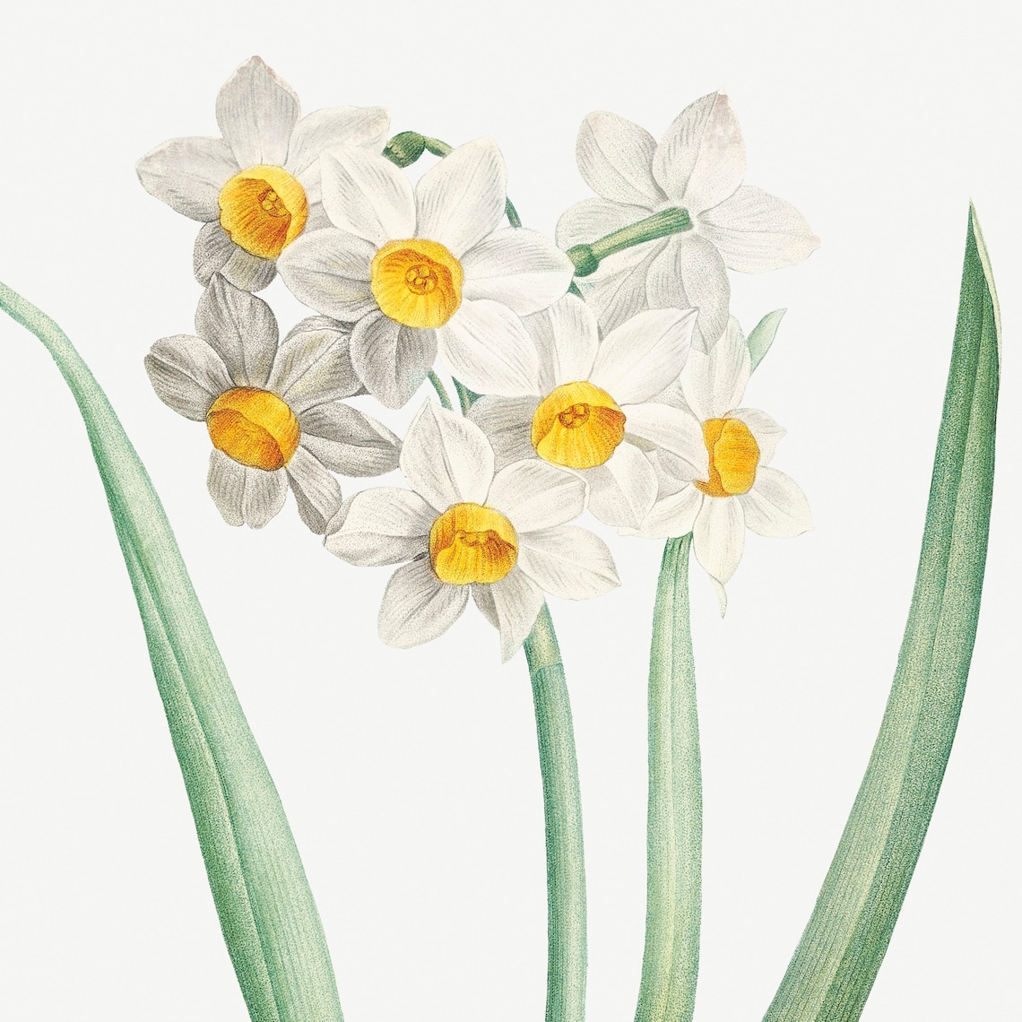 Flowery Decor Spring Flower Print Botanical Art Print - Etsy