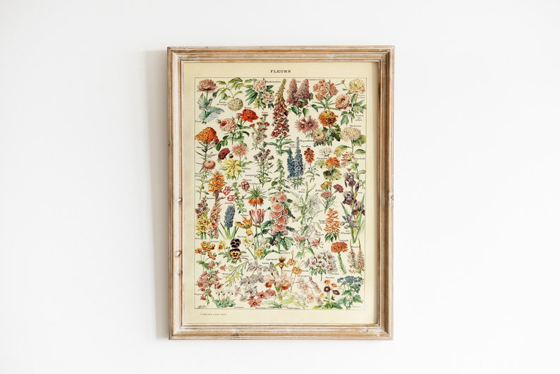 Botanical Poster Set of 3 Flowers Botanical Prints Wildflower - Etsy