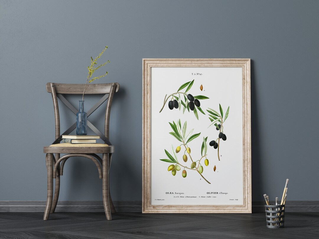 Vintage Olive Tree Print, Watercolor Vegetables Kitchen Decor - Etsy