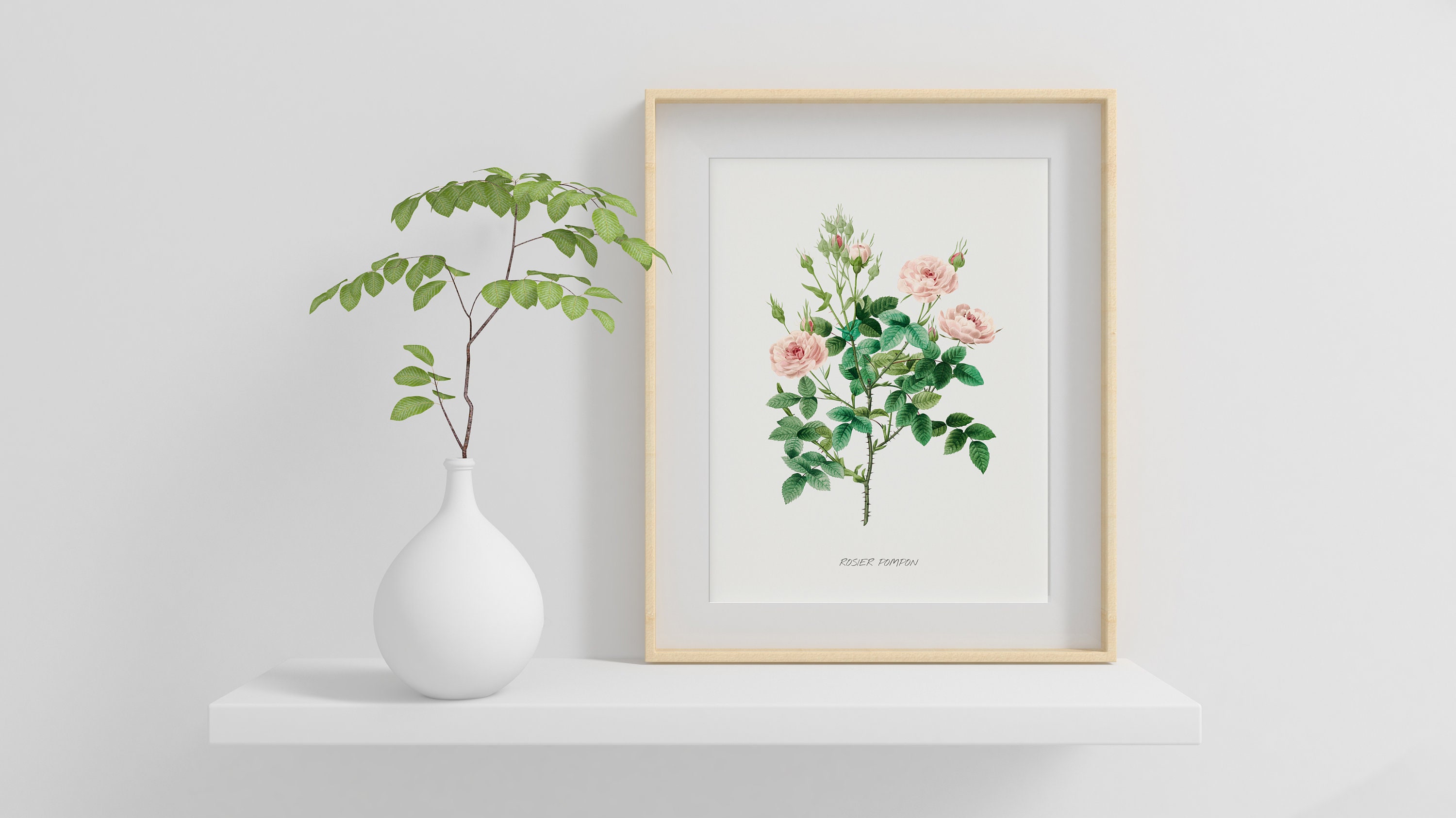 Botanical Poster Set of 3 Flowers Botanical Prints | Etsy