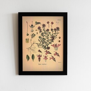 Botanical Poster Set of 6 Flowers, Botanical Prints Wildflower, Floral ...