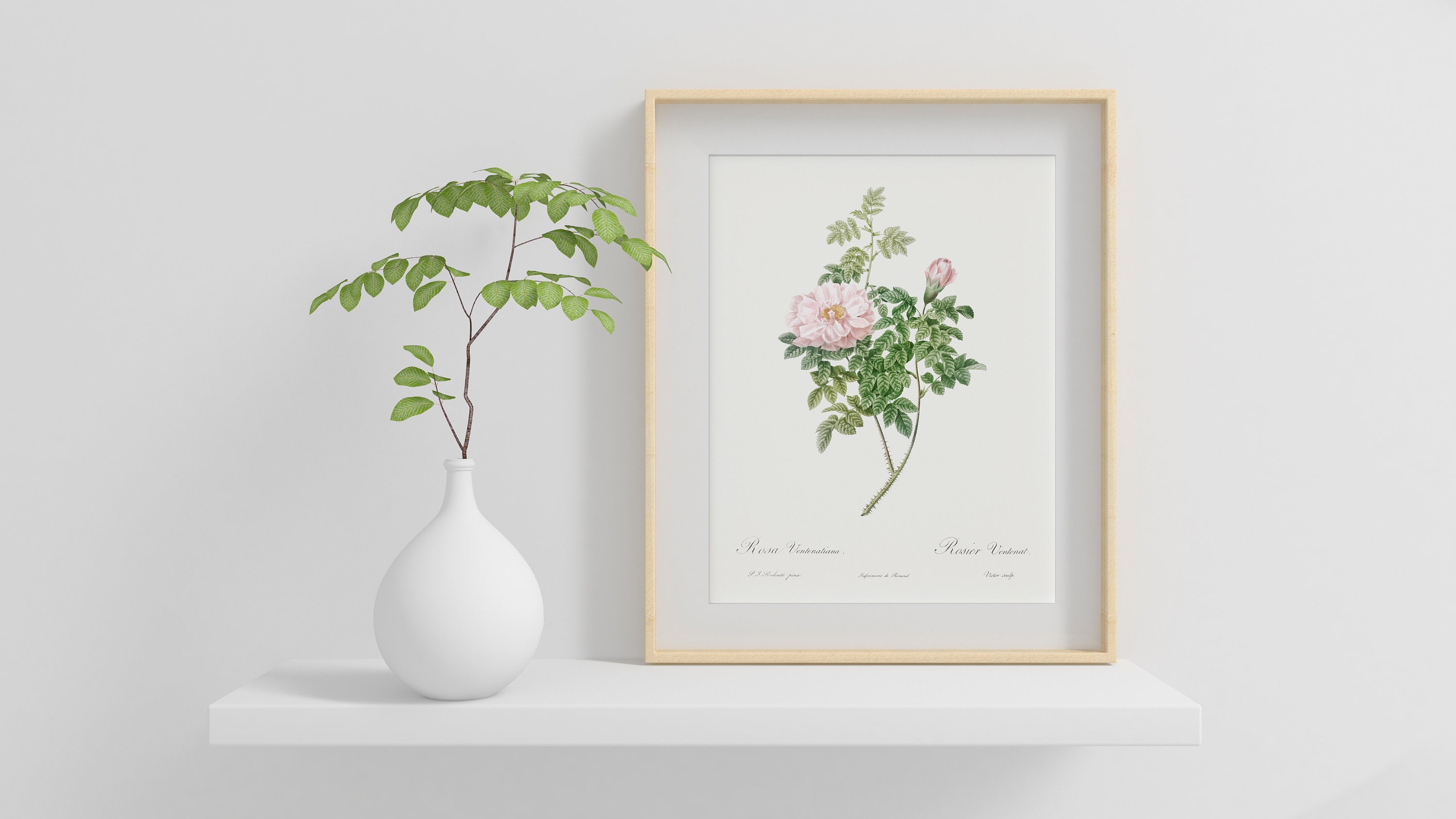 Botanical Poster Set of 3 Flowers Botanical Prints | Etsy