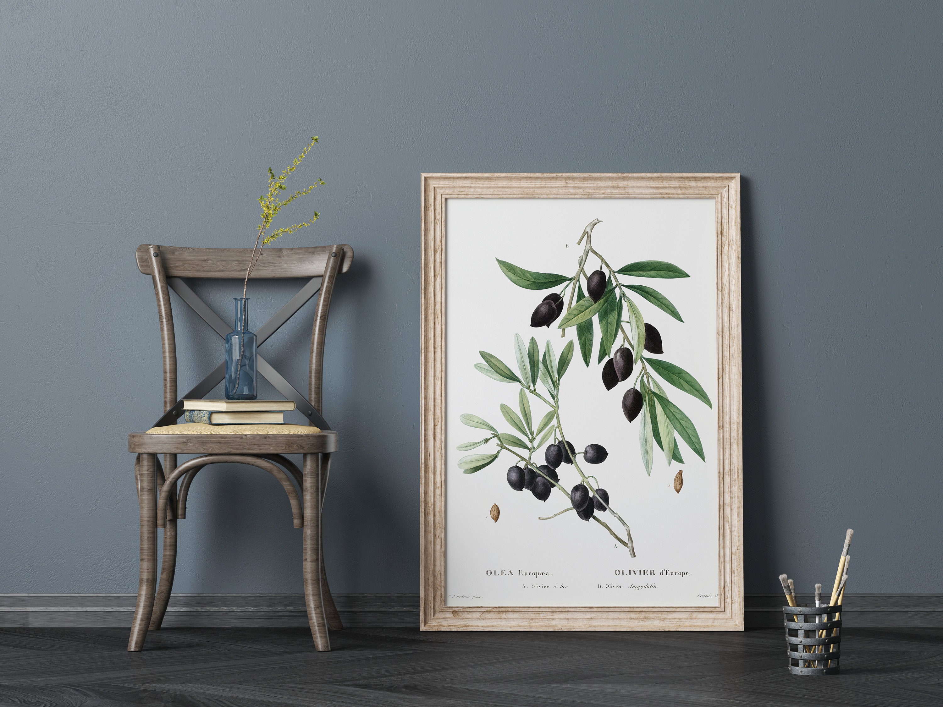 Olive Garden Prints Olive Wall Art Print Garden Botanical | Etsy