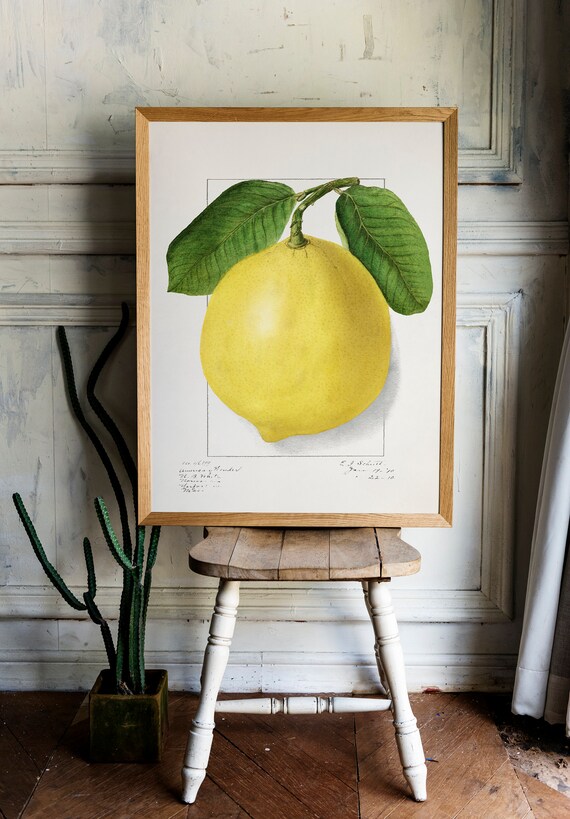 Vintage Lemon Art