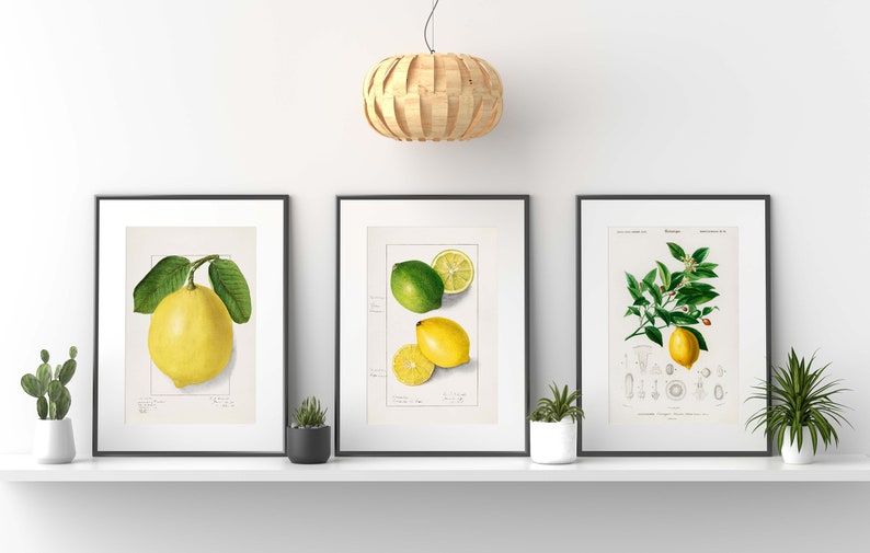 Lemon Poster Lemon Wall Art Lemon Art Kitchen Poster | Etsy