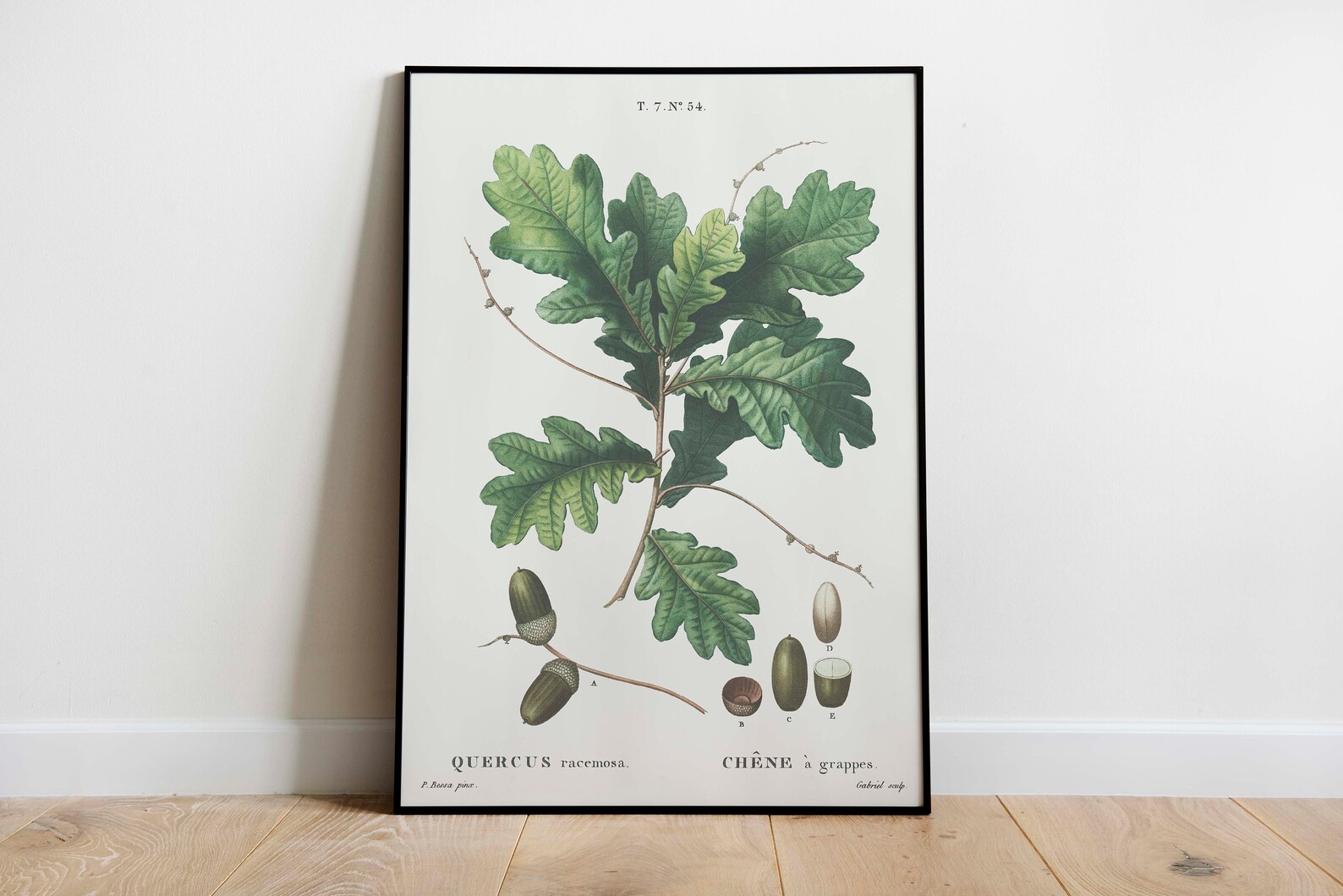 Tree Poster Set of 6 Tree Prints Tree Print Tree - Etsy