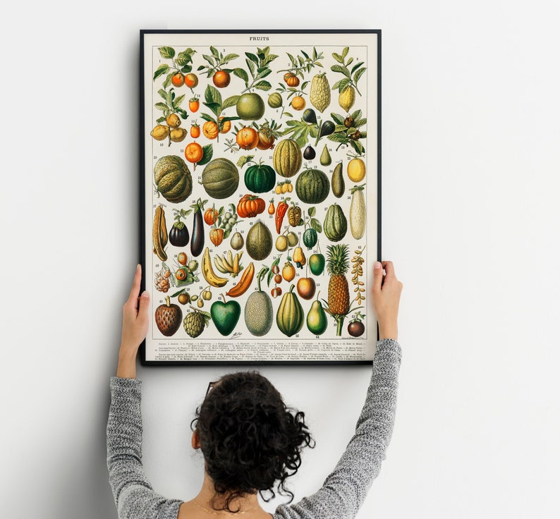 Vintage Poster Fruits Chart With Vegetables Botanical Wall - Etsy
