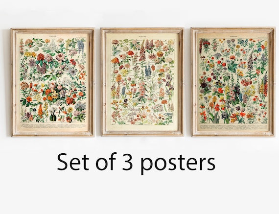 Botanical Poster Set of 3 Flowers Botanical Prints Wildflower - Etsy