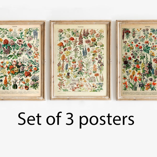 Botanical Poster - Etsy