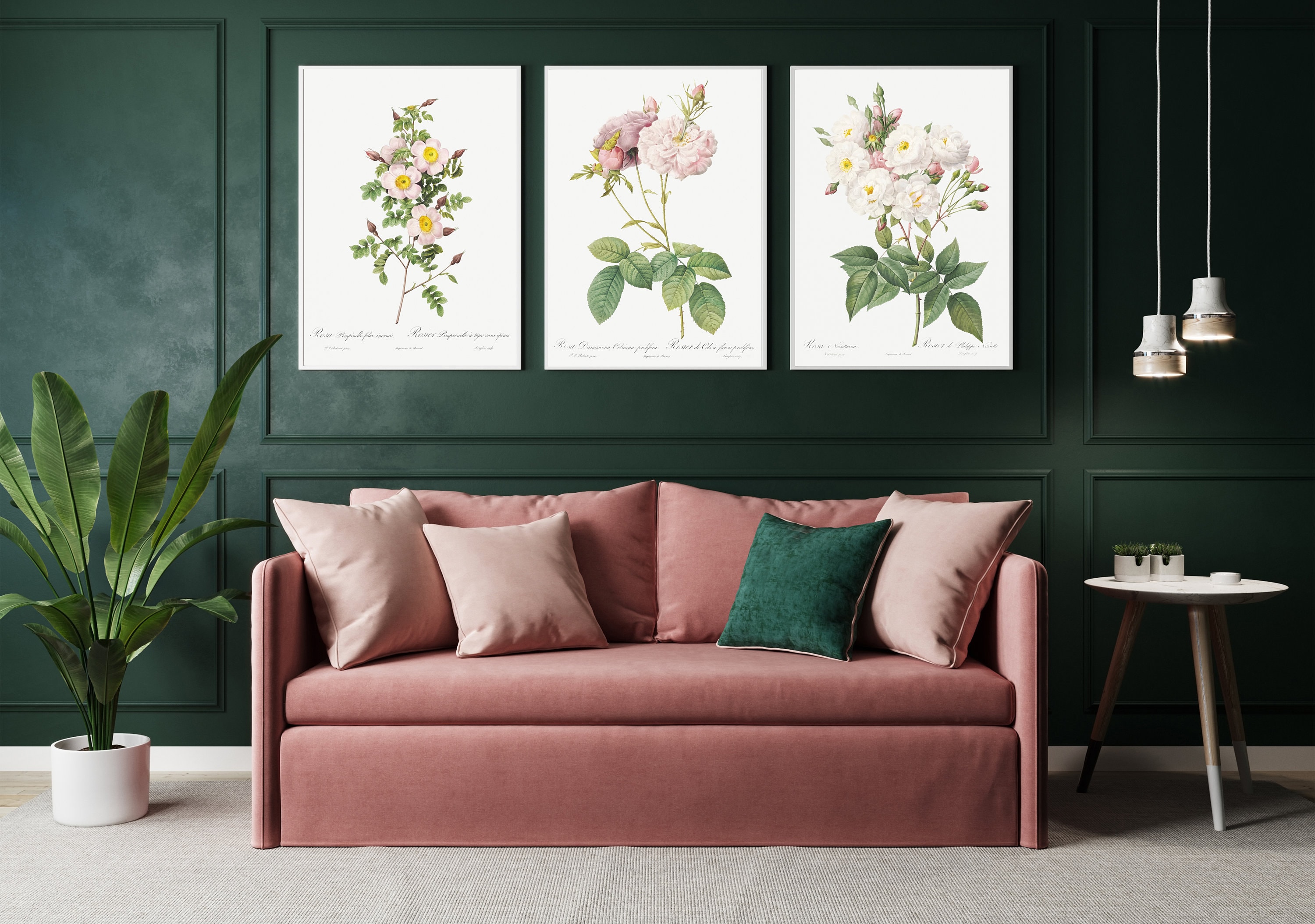 Botanical Poster Set of 3 Flowers Botanical Prints | Etsy