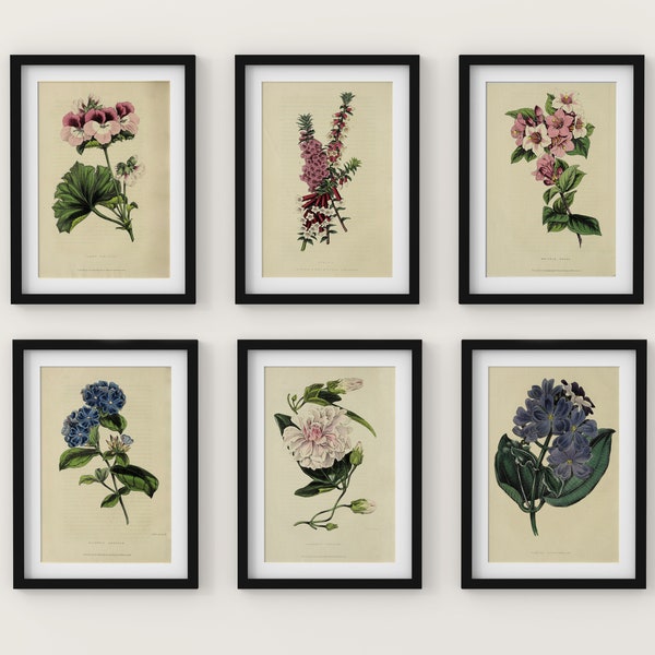 Botanical Poster - Etsy