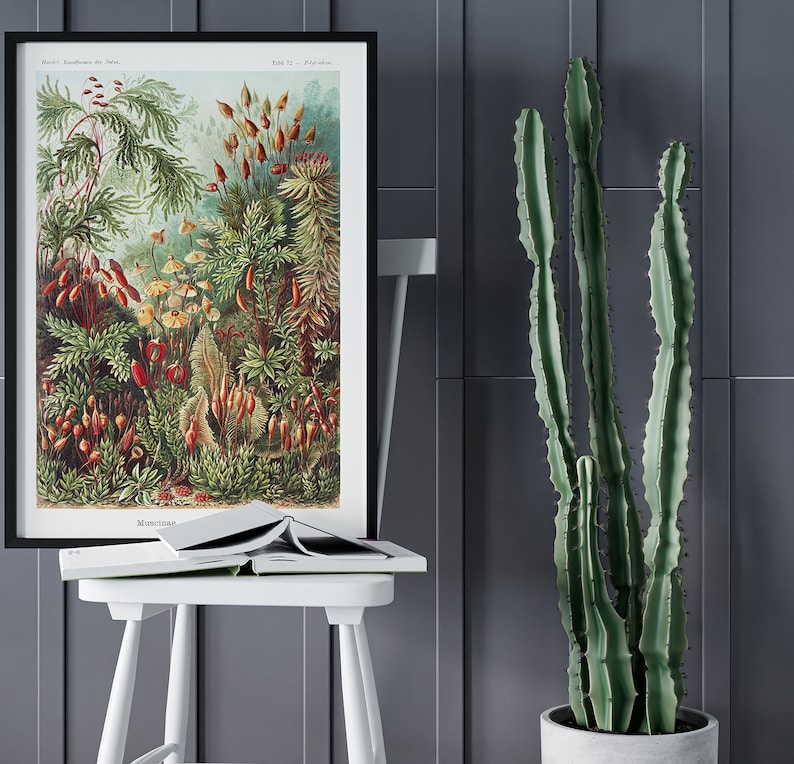 Exotic Jungle Poster With Mosses Print Exotic Forest Poster - Etsy