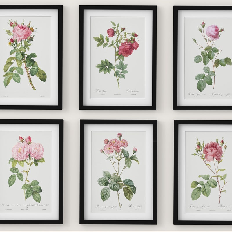 Floral Poster - Etsy