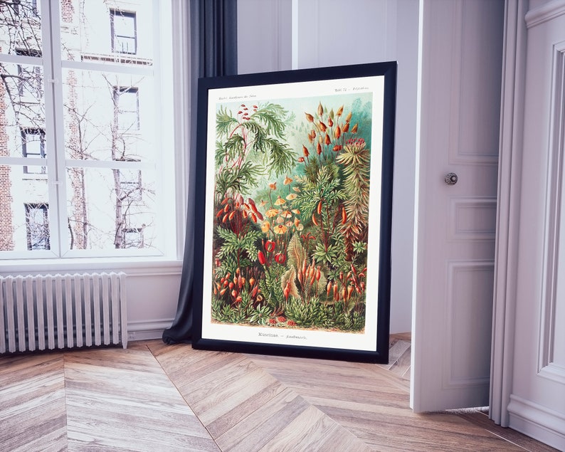 Exotic Jungle Poster With Mosses Print Exotic Forest Poster - Etsy
