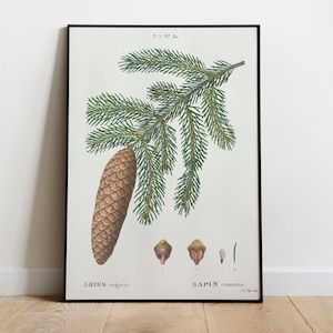 Tree Poster Set of 6 Tree Prints, Tree Print, Tree Identification ...