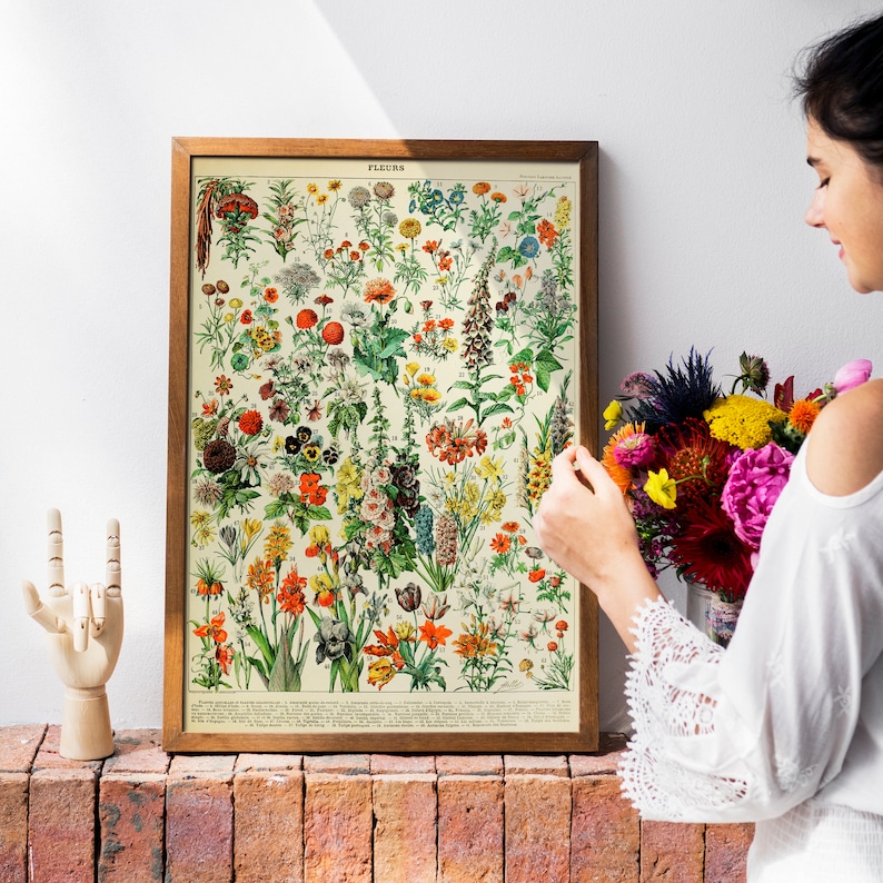 Botanical Poster Set of 3 Flowers Botanical Prints Wildflower - Etsy